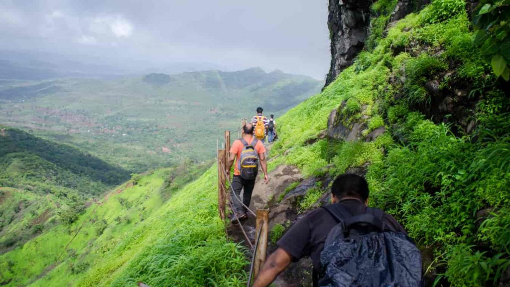Mullayanagiri Trek Guide - Hub News