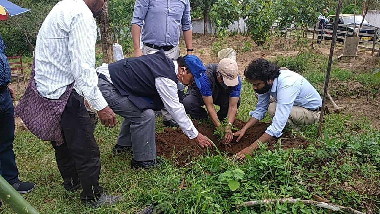 Project Hariyali launched in West Jaiñtia Hills District - Hub News