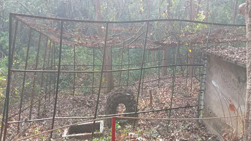 Shocking condition of Tura Zoo, dead deer lies abandoned inside cage ...