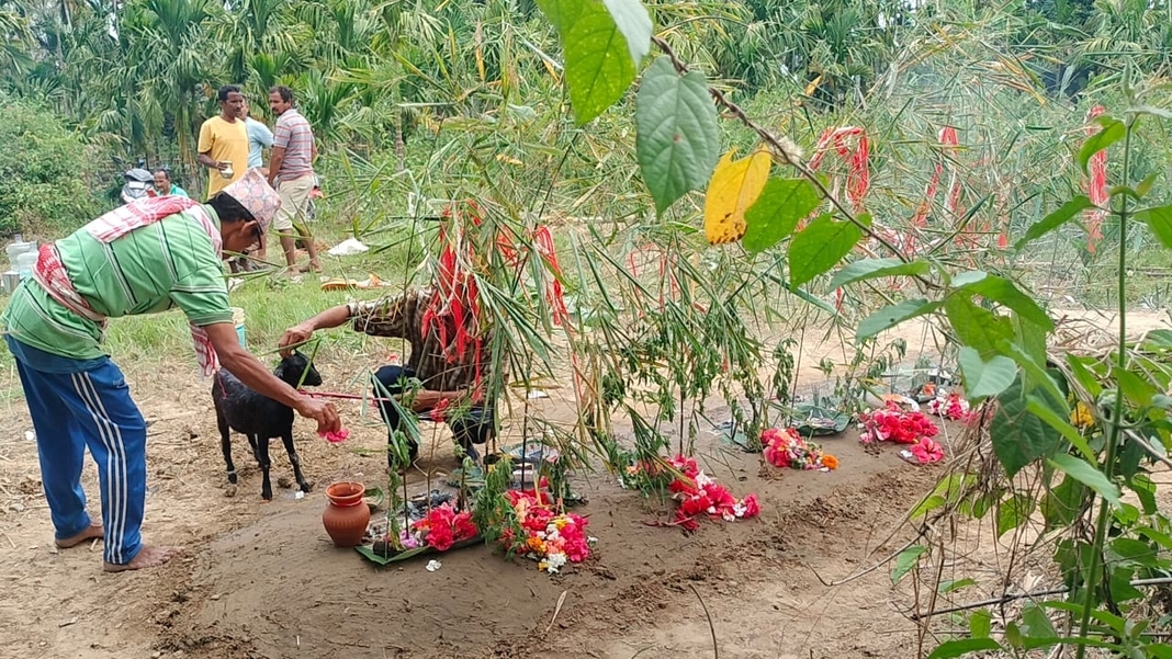 Sansari Puja – where Earth is revered as ‘Mother’ by nature ...
