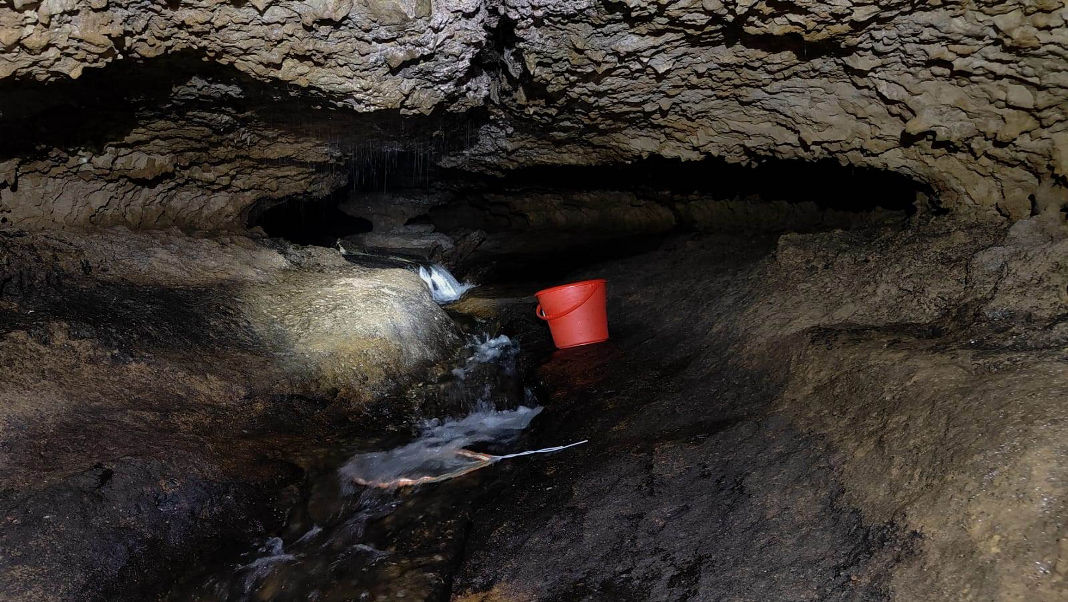 Troglophile fish discovered in Meghalaya cave: A rare species that ...