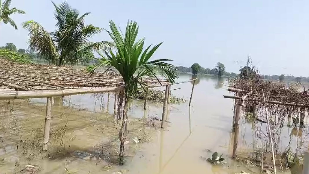Assam: Embankment breach in Dibrugarh leaves 40 families struggling ...