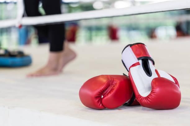 State Boxing Championship 2025-26: Action heats up on Day 2 - Hub News