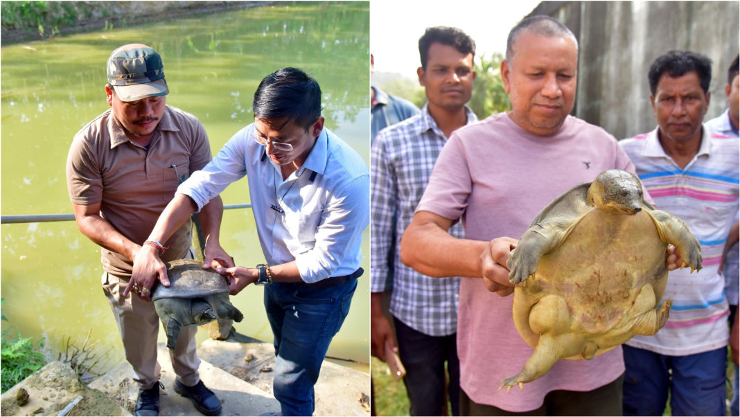 Assam: Pollution threatens aquatic life in Boko