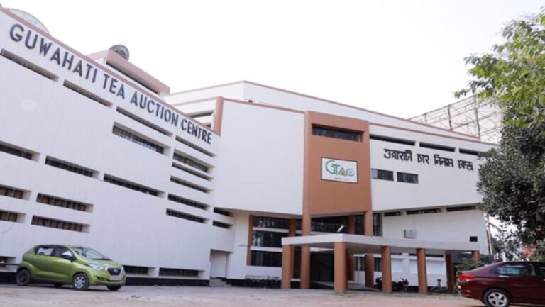 Premium Assam tea fetches ₹800 per kg at Guwahati auction, signals ...